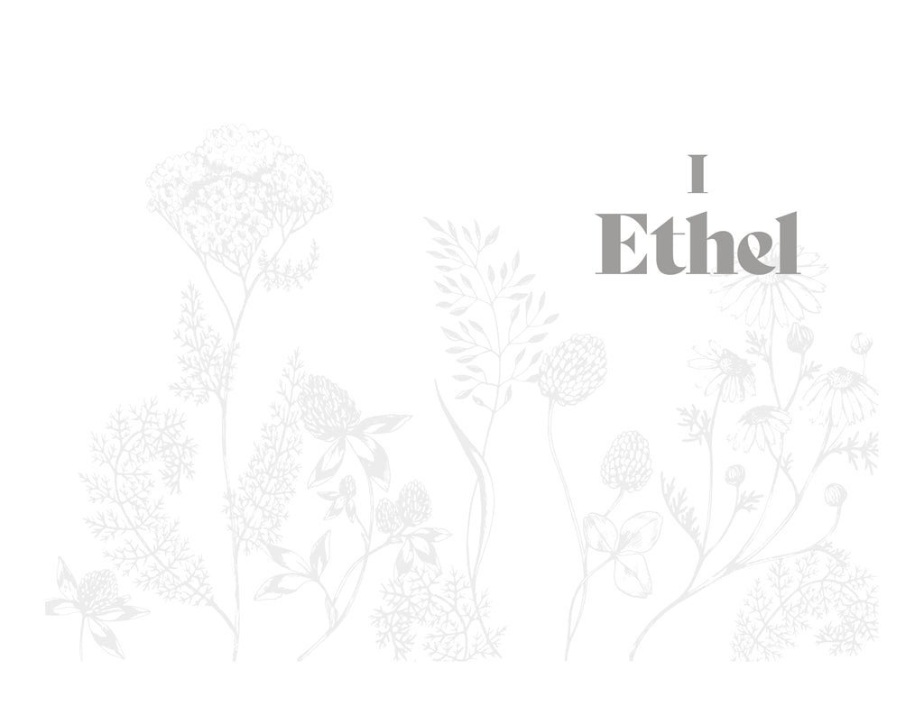 Ethel | Adventure Books by Vertebrate Publishing